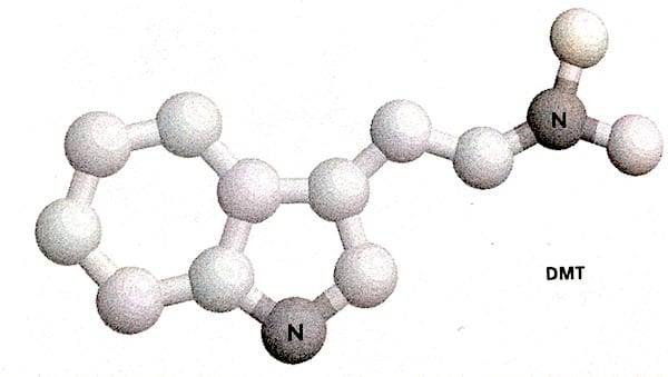 The Entheogen One: Apocalypse Pharmaka (Part 7) – Rune Soup
